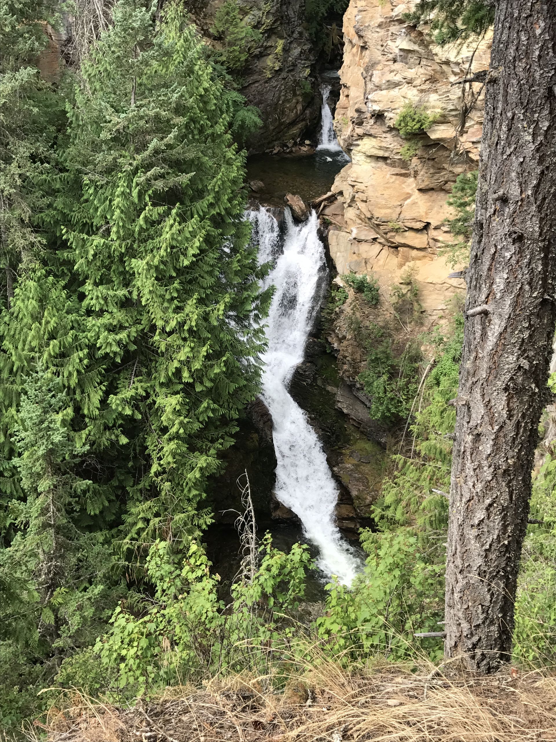 Myrtle Creek Falls | NaughtyHiker