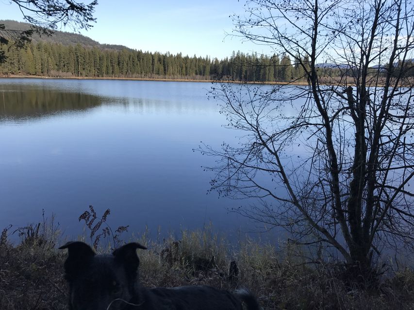 Round Lake State Park Loop | NaughtyHiker